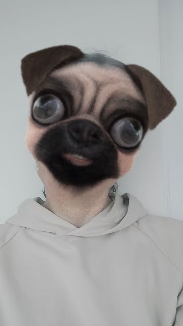 dog filter | Search Snapchat Creators, Filters and Lenses
