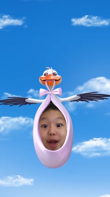 bird | Search Snapchat Creators, Filters and Lenses