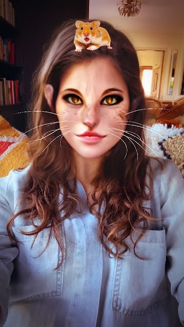 hamster | Search Snapchat Creators, Filters and Lenses